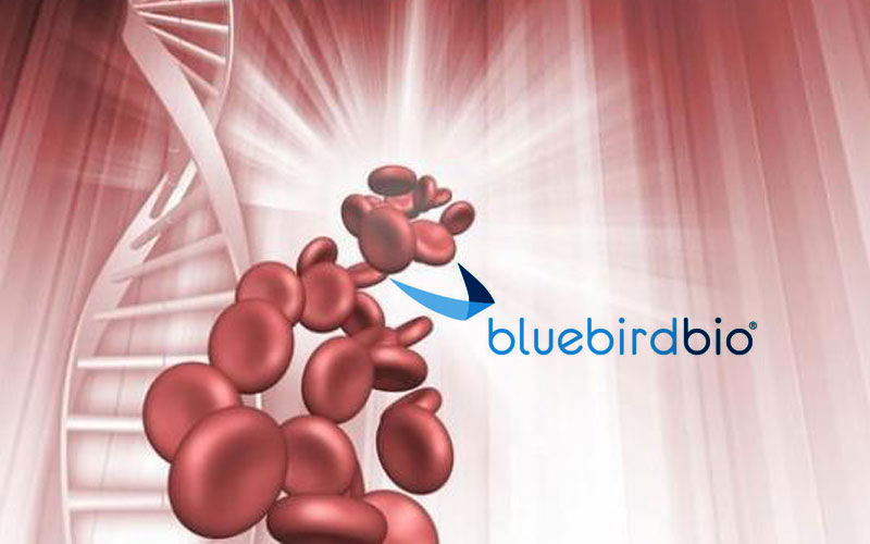 bluebird bio: Eνθαρρυντικές εξελίξεις στη θεραπεία της β-θαλασσαιμίας ...